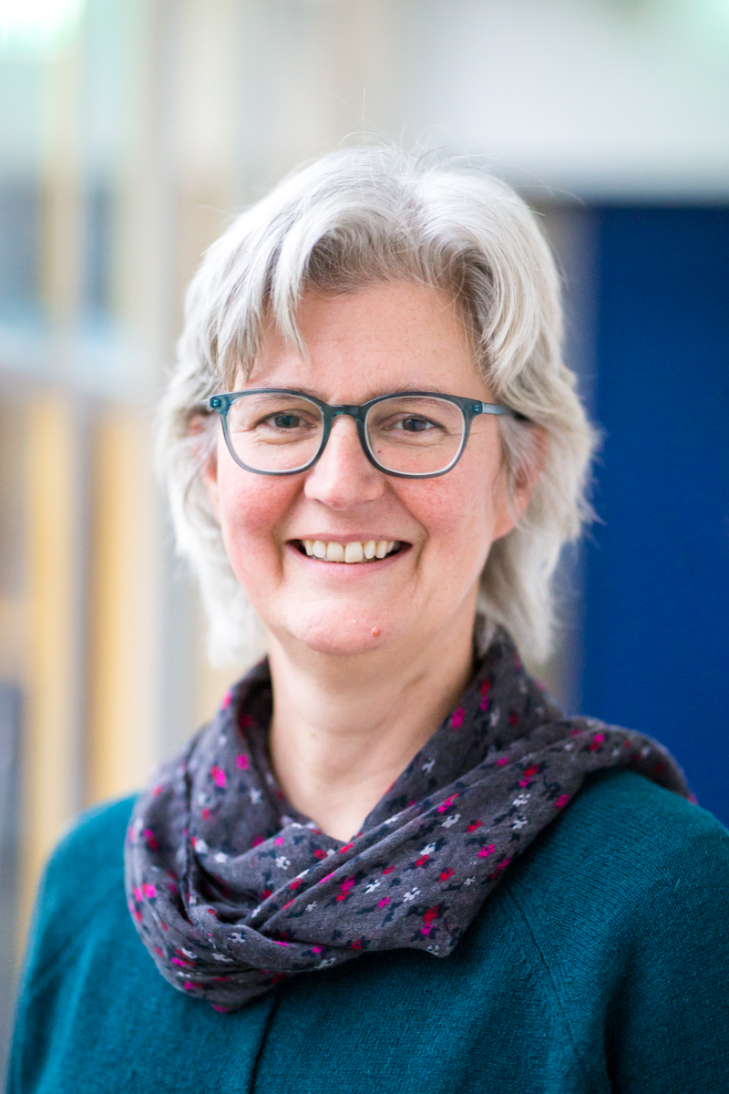 Learn with us - Capacity Building in Ireland in 2024 - Mobycon