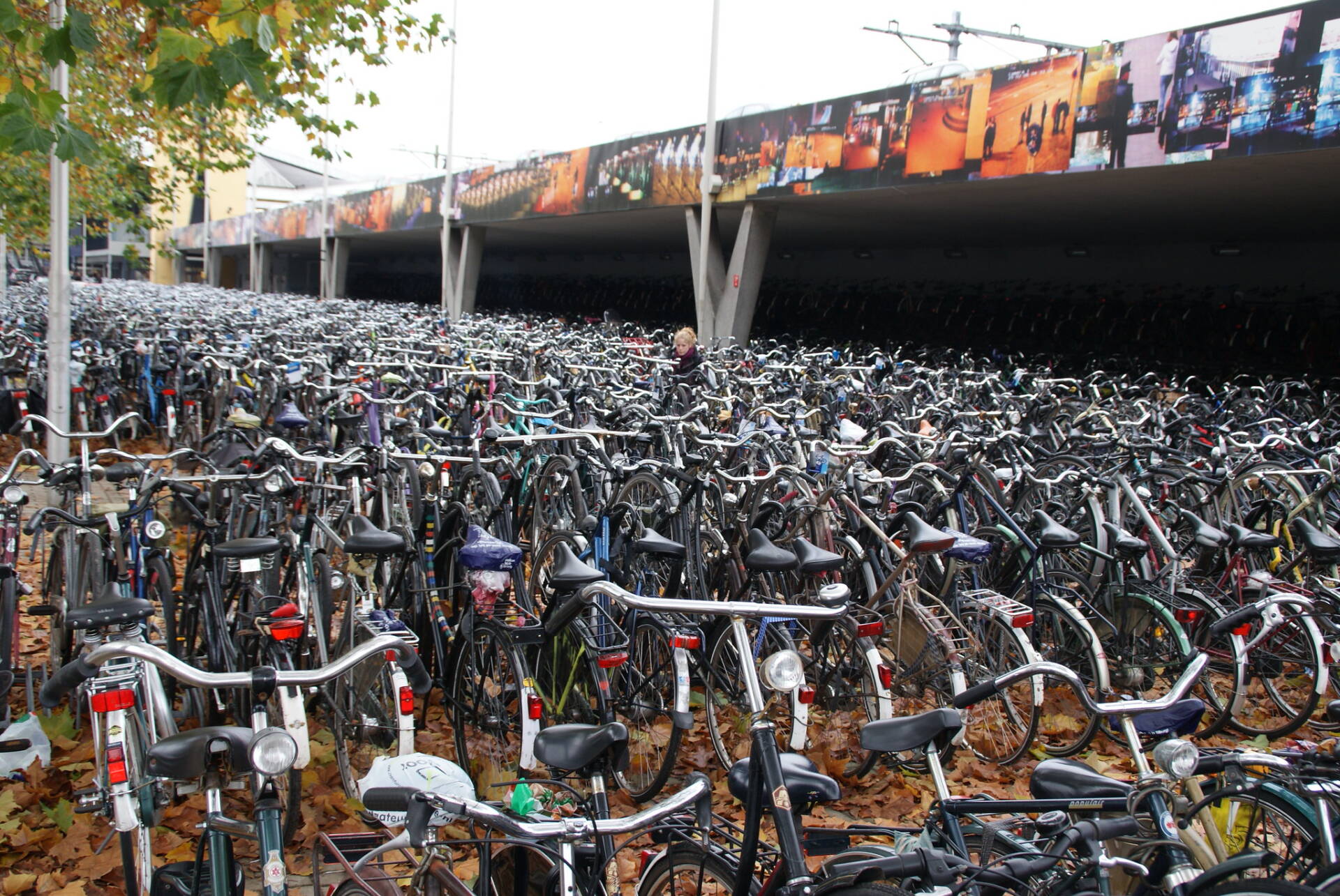 Discover the History Behind the First Red Cycle Path During This Unique ...