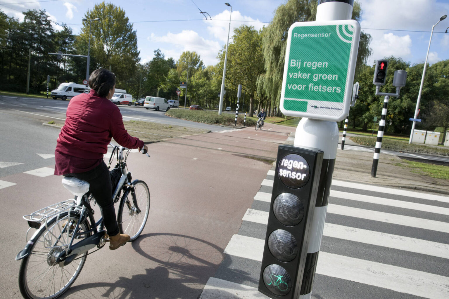 Efficiency and Flexibility: Decoding How the Dutch Prioritize Cycling ...
