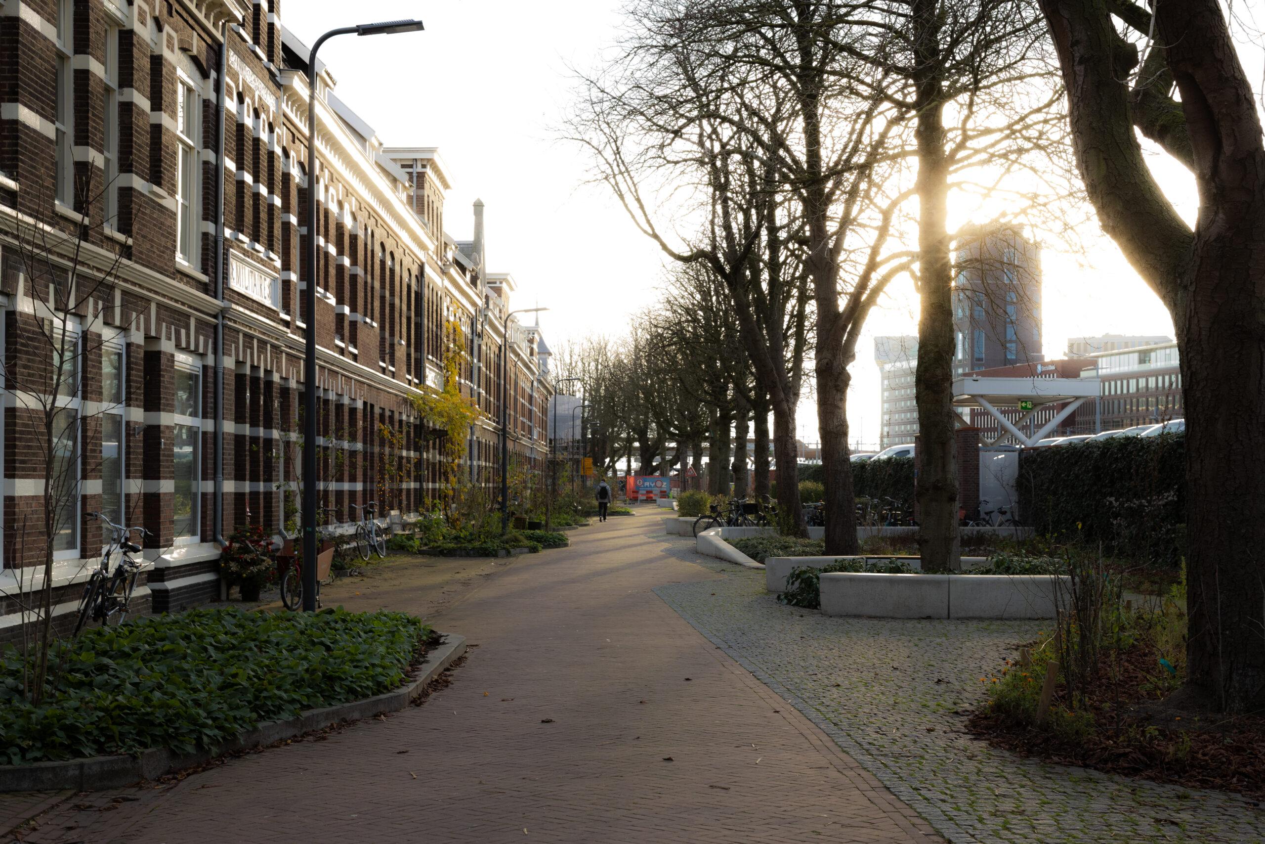 A Week of Mobility and Connection: The DACH Team’s Visit to the ...